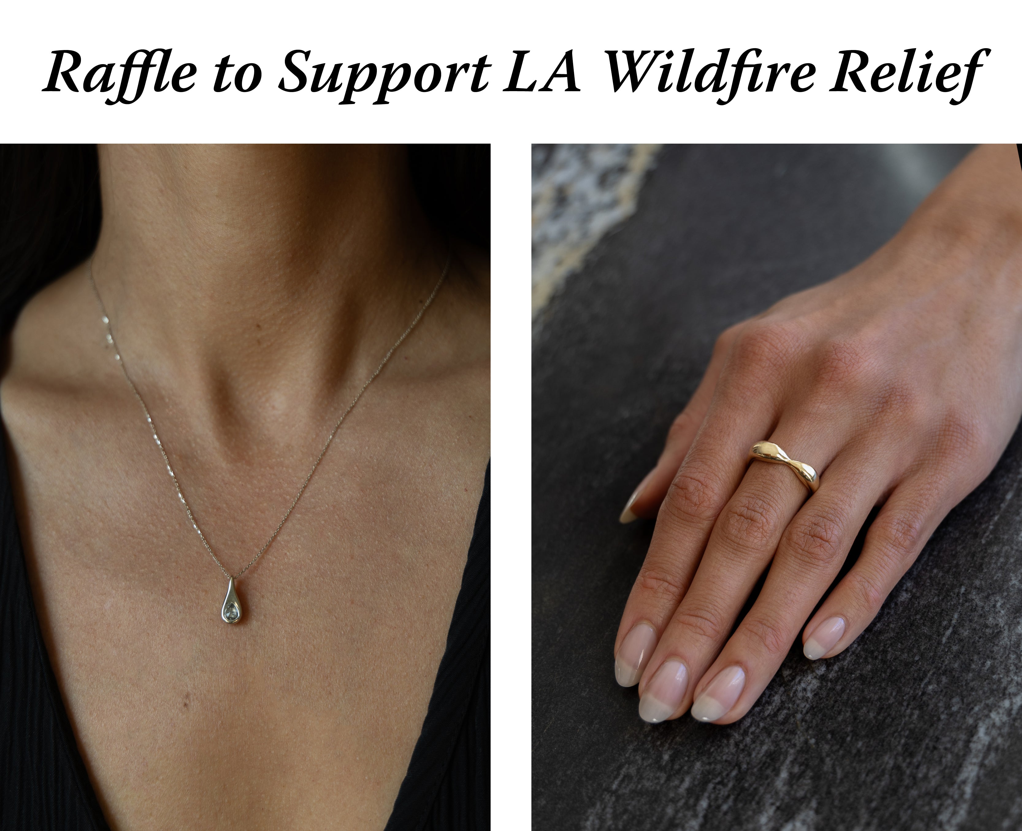LA Wildfire Relief Raffle Ticket – M. Hisae
